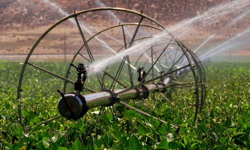 Better Pool & Irrigation Supplies | Pool Shop Maitland Hunter Valley